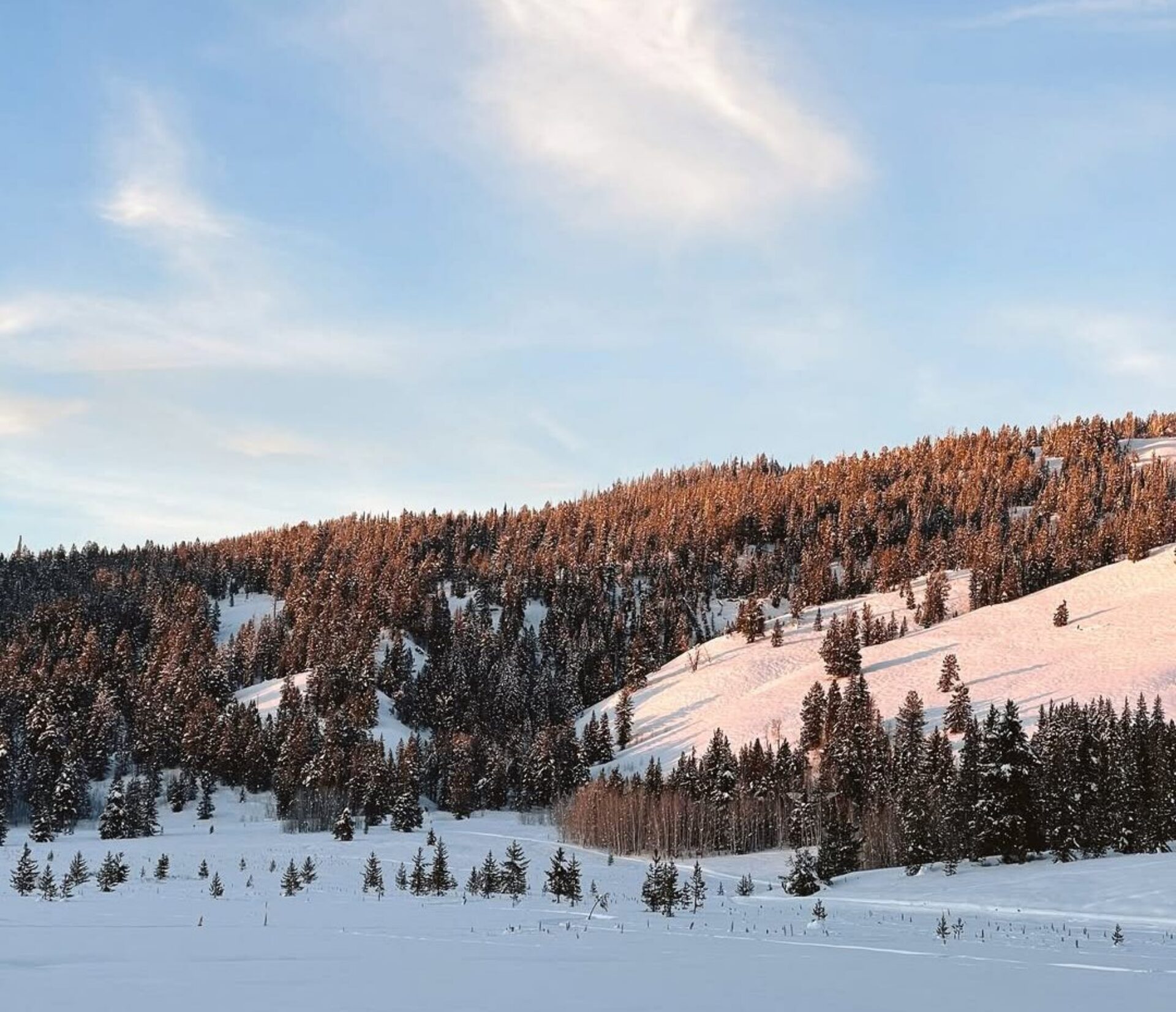 Cache House Hostel |Accommodations in Jackson Hole, Wyoming